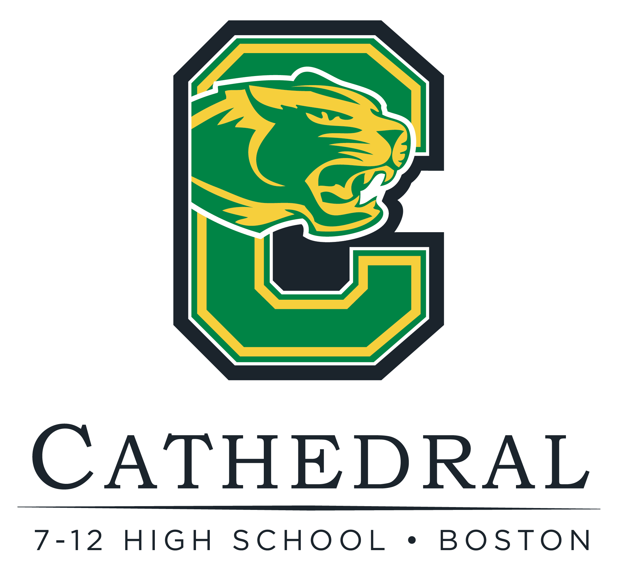 Chs High School Logo